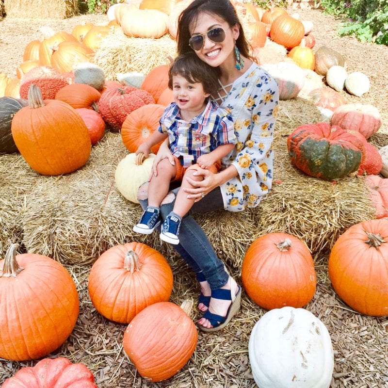 Top 7 Things to Do at Magnolia Market in the Fall - Dawn P. Darnell