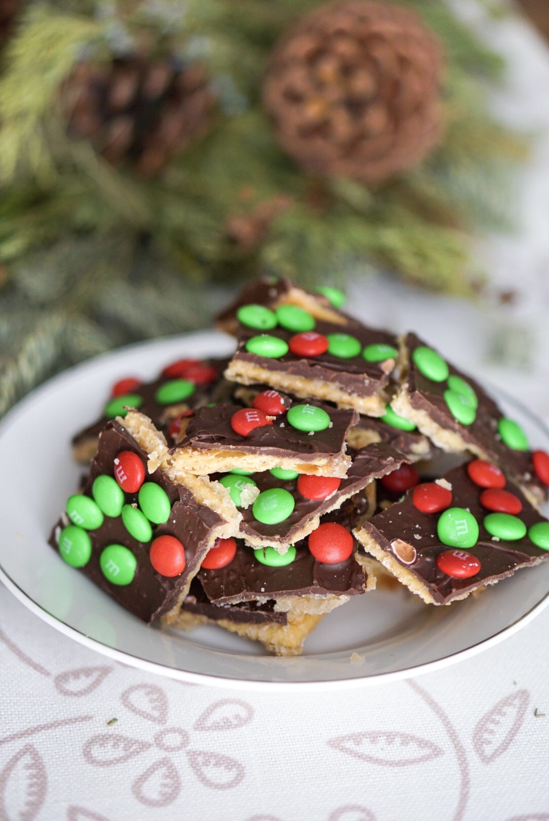 Easy to Make Christmas Saltine Bark + Holiday Party Favor DIY - Dawn P ...