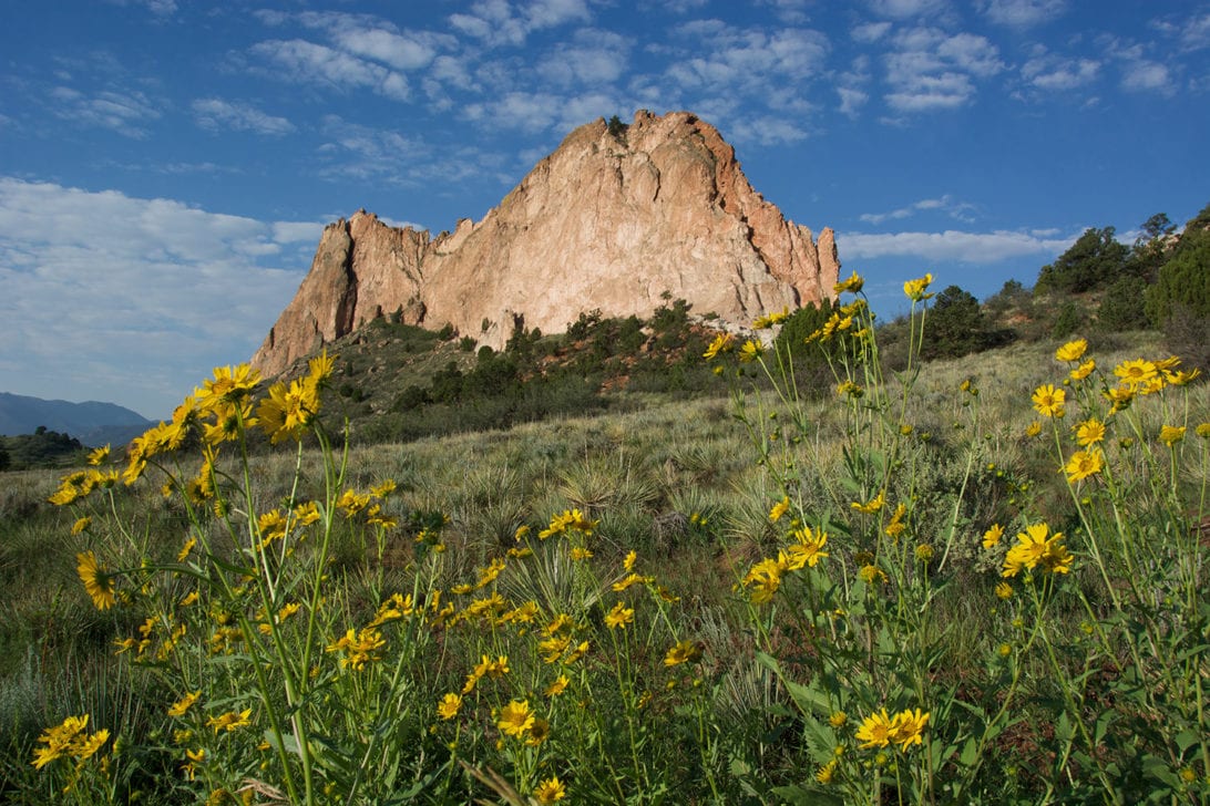 5 Family Activities To Do In Colorado Springs This Summer - Dawn P. Darnell