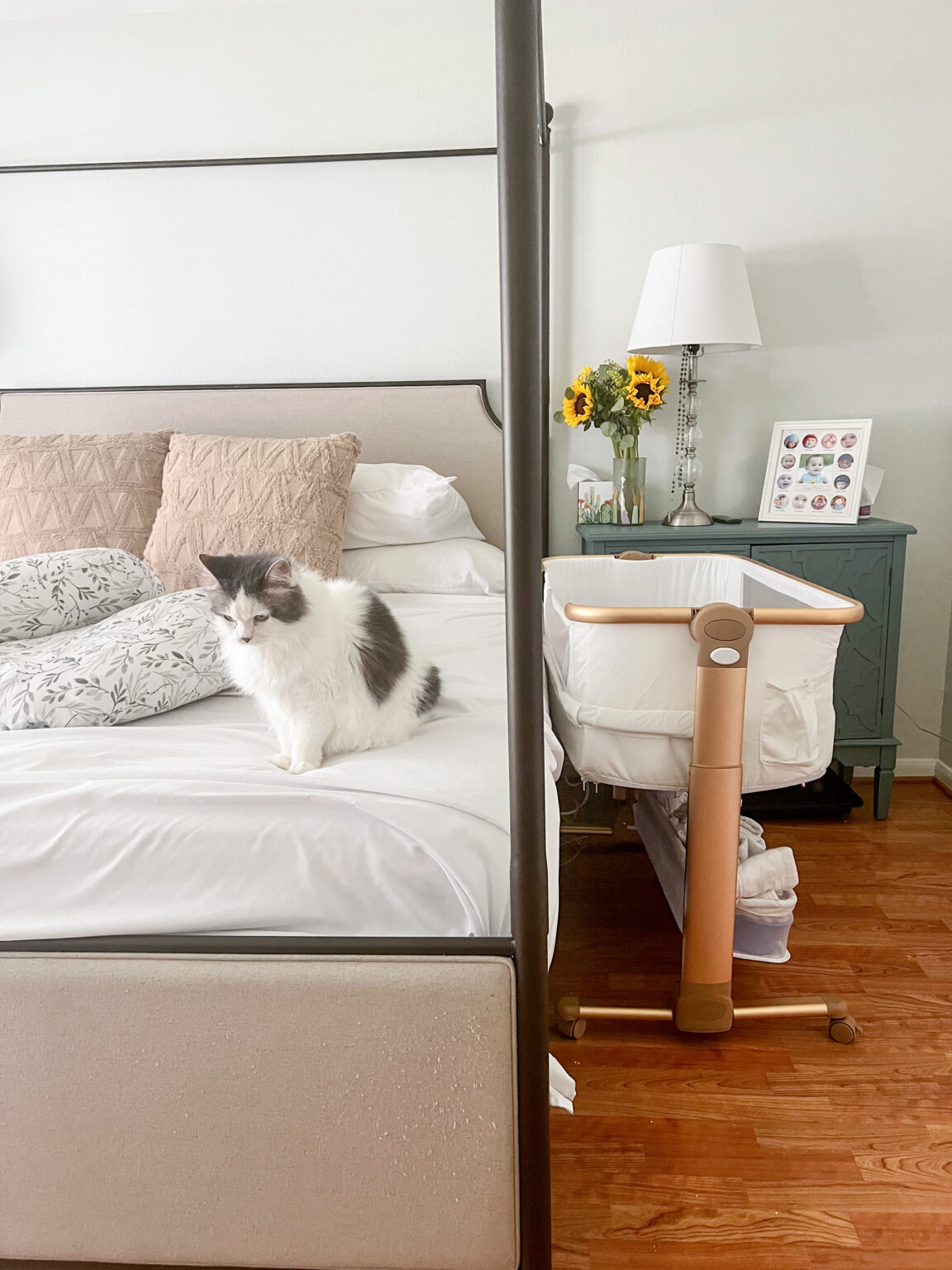 Our Bedroom Baby Set Up - Dawn P. Darnell